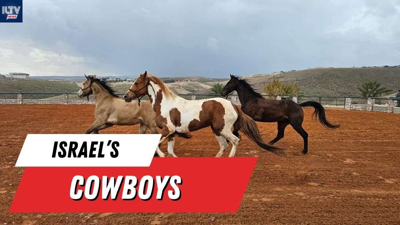 Evangelical Cowboys Save Israeli Farm – Bagels.TV